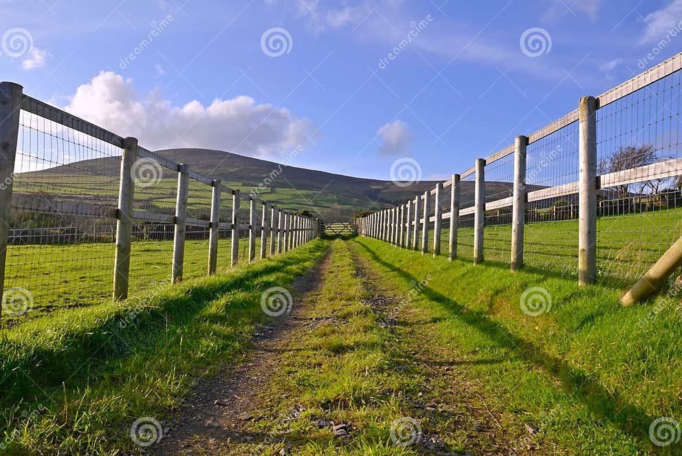 Straight Road between Fenced Fields Stock Photo - Image of hill ...