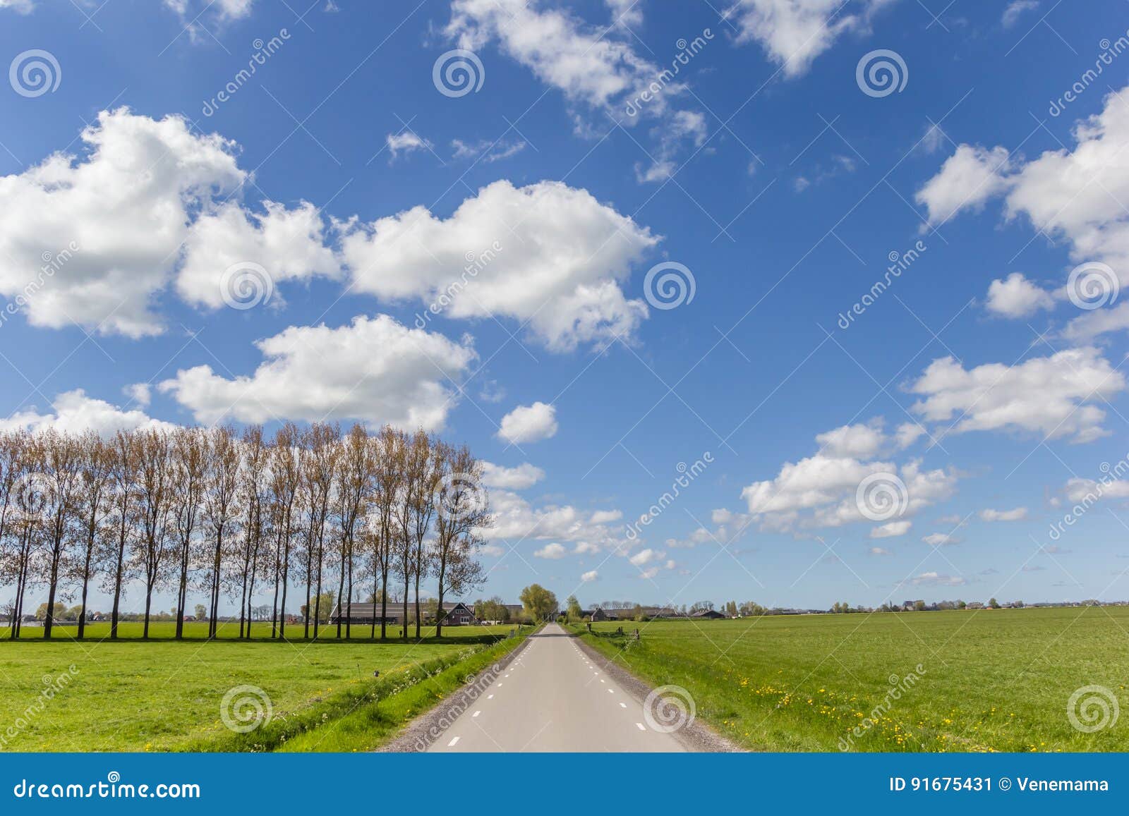 Straight Road in the Flat Landscape of Groningen Stock Image - Image of ...
