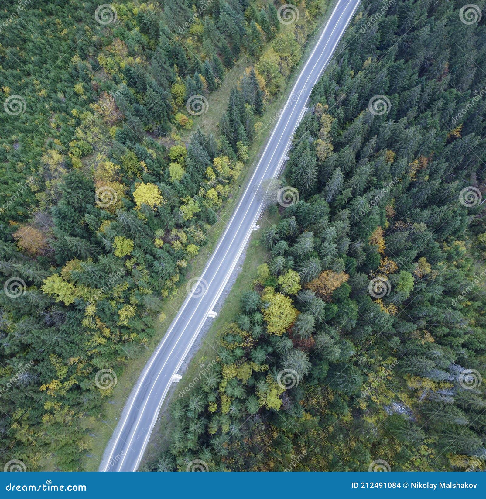 Straight Road through the Forest Top View Stock Photo - Image of ...