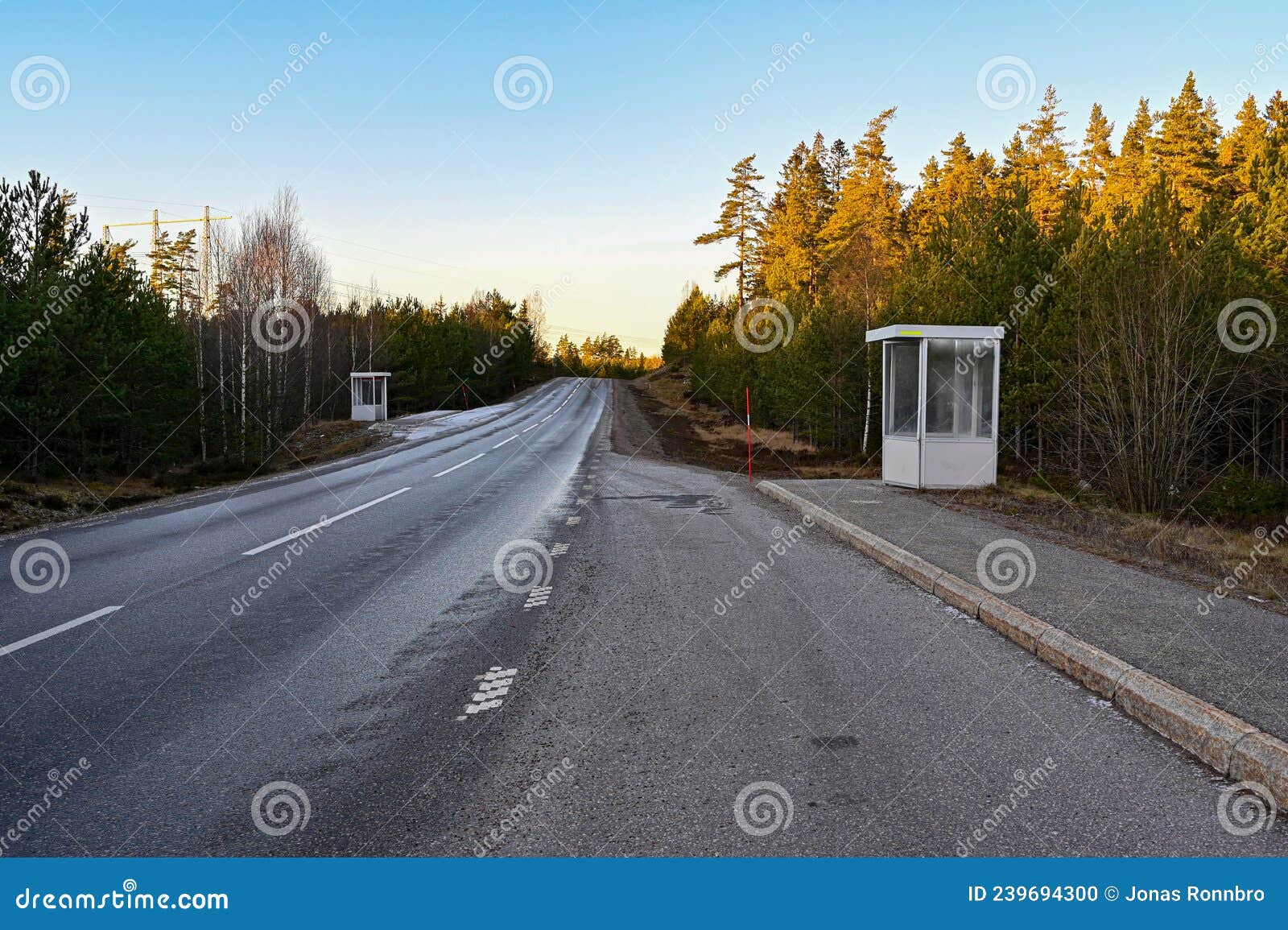 Straight Road through Forest with Two Bus Stops Stock Photo - Image of ...