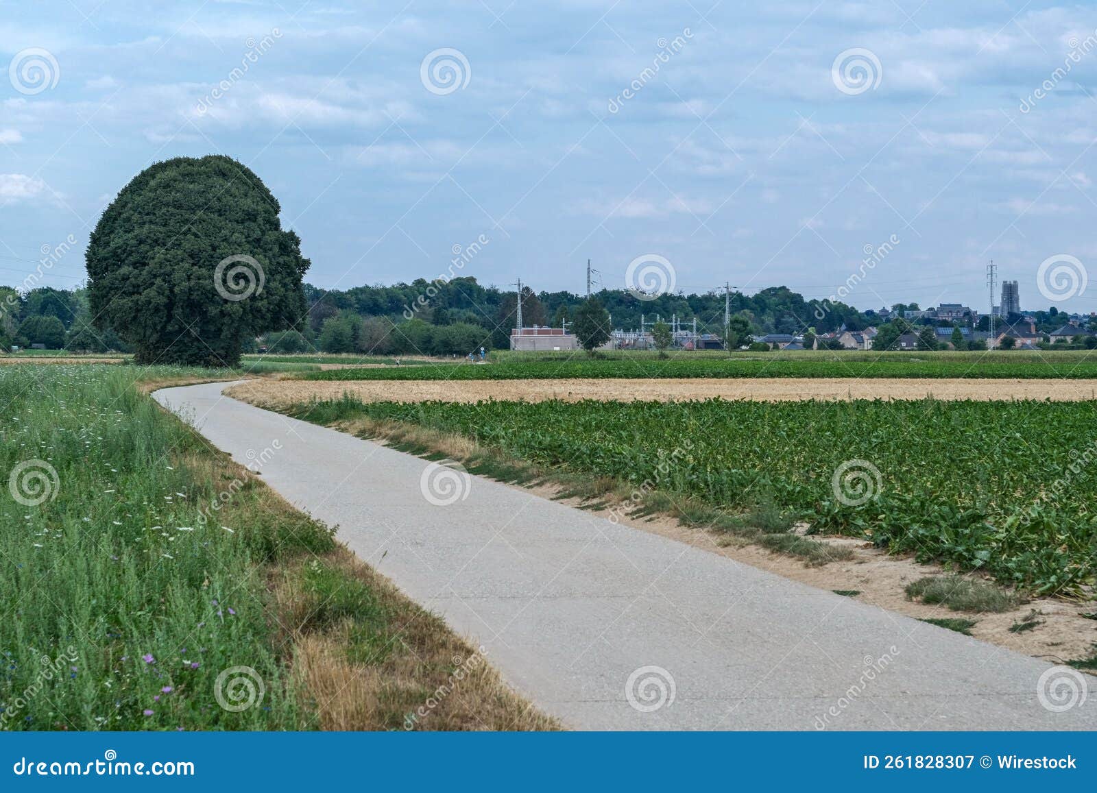 Straight Road and Green Feild in the Countryside Stock Image - Image of ...