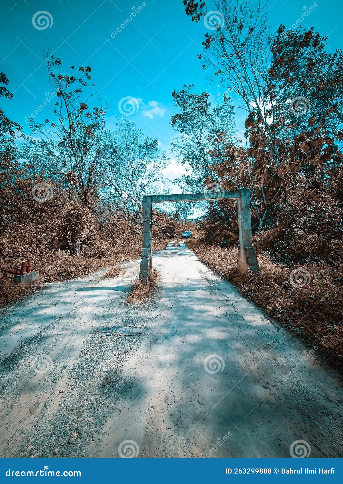 Straight Road with Half Gate Stock Photo - Image of water, snow: 263299808