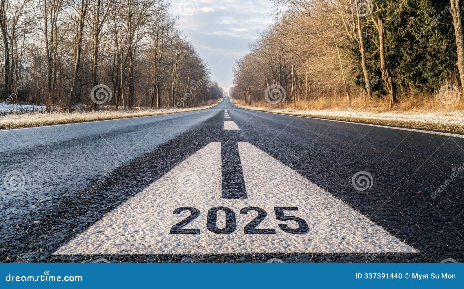 A Straight Road Lined with Trees, Featuring a Clear Arrow Marking the ...