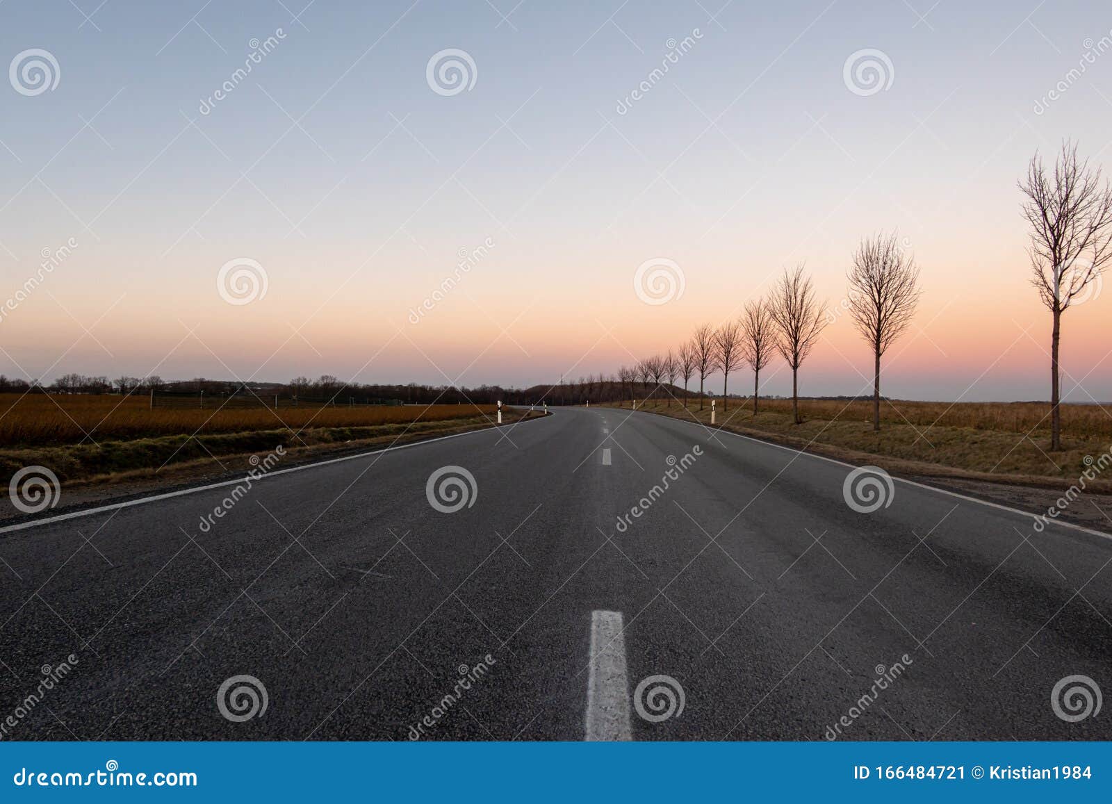 Straight Road with Trees without Leafs on the Side during a Winter ...