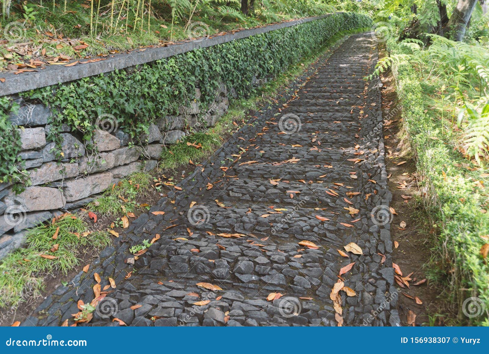 Straight stone pathway stock image. Image of steps, stone - 156938307
