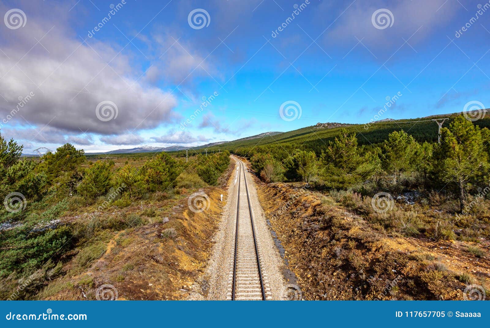 Straight Train Line in the Country Stock Image - Image of train, wild ...