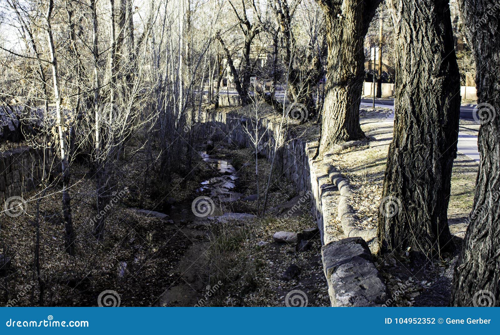 A Straight on View of the River Stock Photo - Image of ground, fall ...