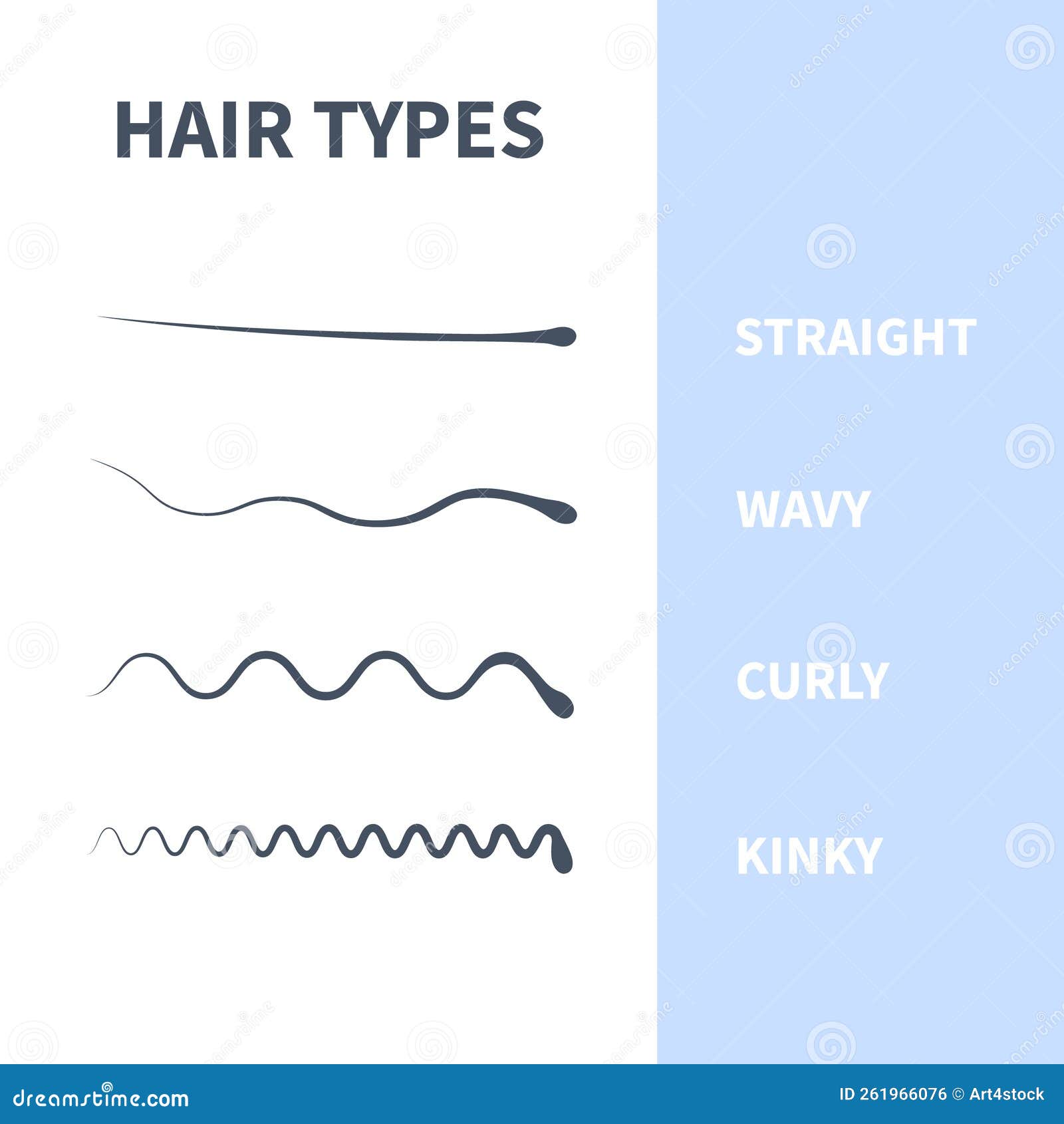Hair Types Chart Set Of Strands Growth Patterns Vector Illustration ... Hair Types Chart Set Of Strands Growth Patterns Vector Illustration ...
