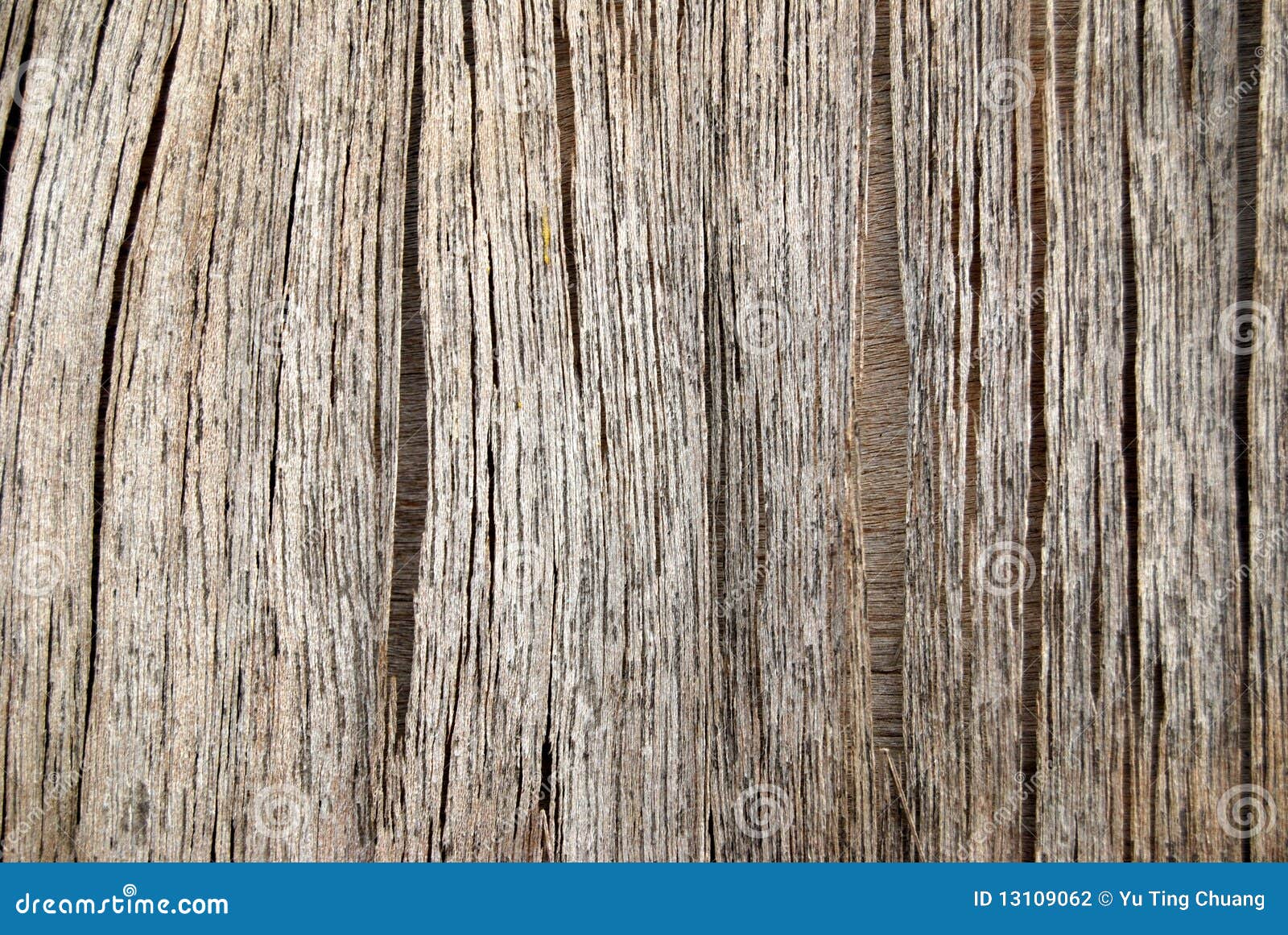 Straight wood marks stock photo. Image of bark, timber - 13109062