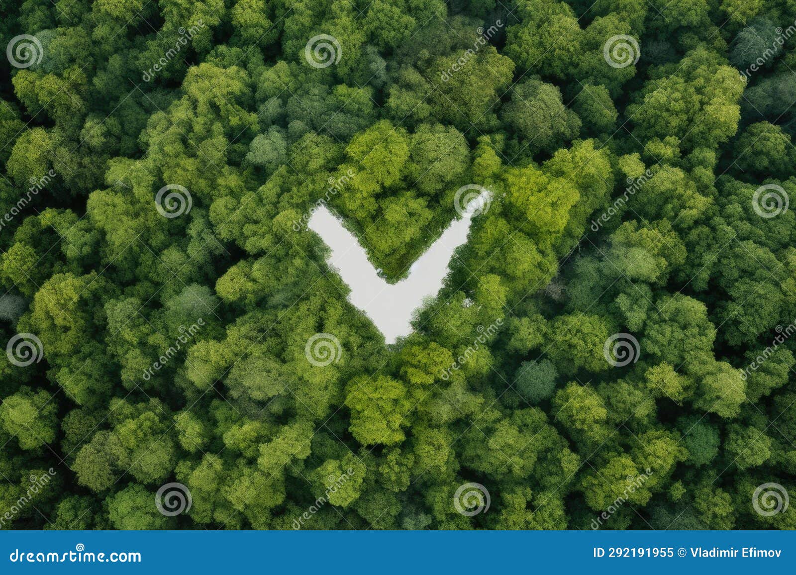 Straightforward Image Featuring White Arrow Placed in Middle of Forest ...