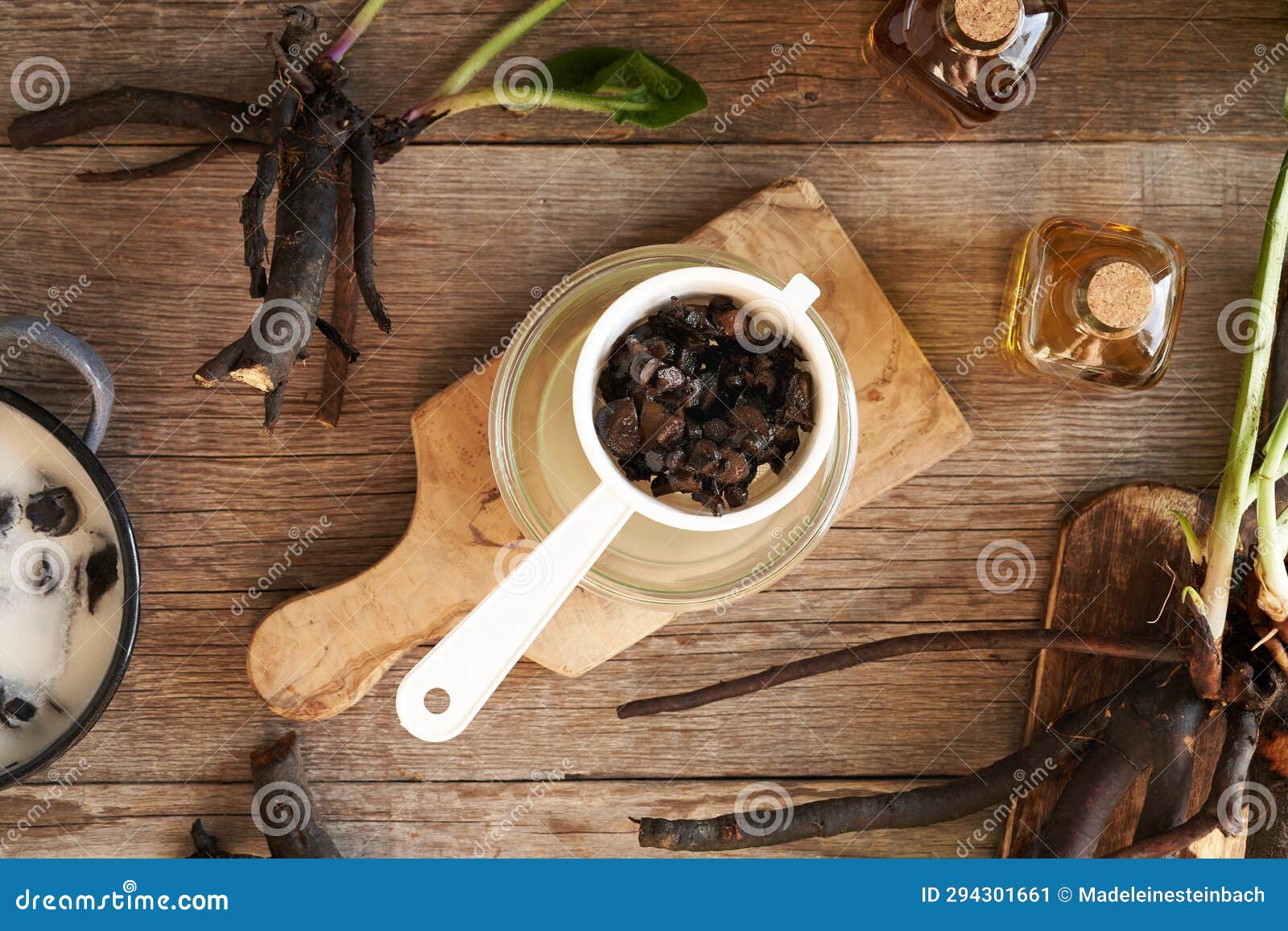 Straining Homemade Comfrey or Knitbone Root Ointment through a White ...