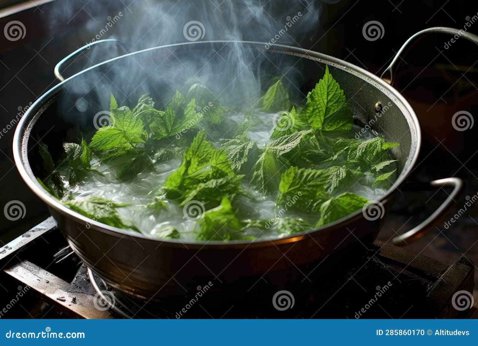 Straining Nettle Leaves from Boiling Water Stock Photo - Image of ...