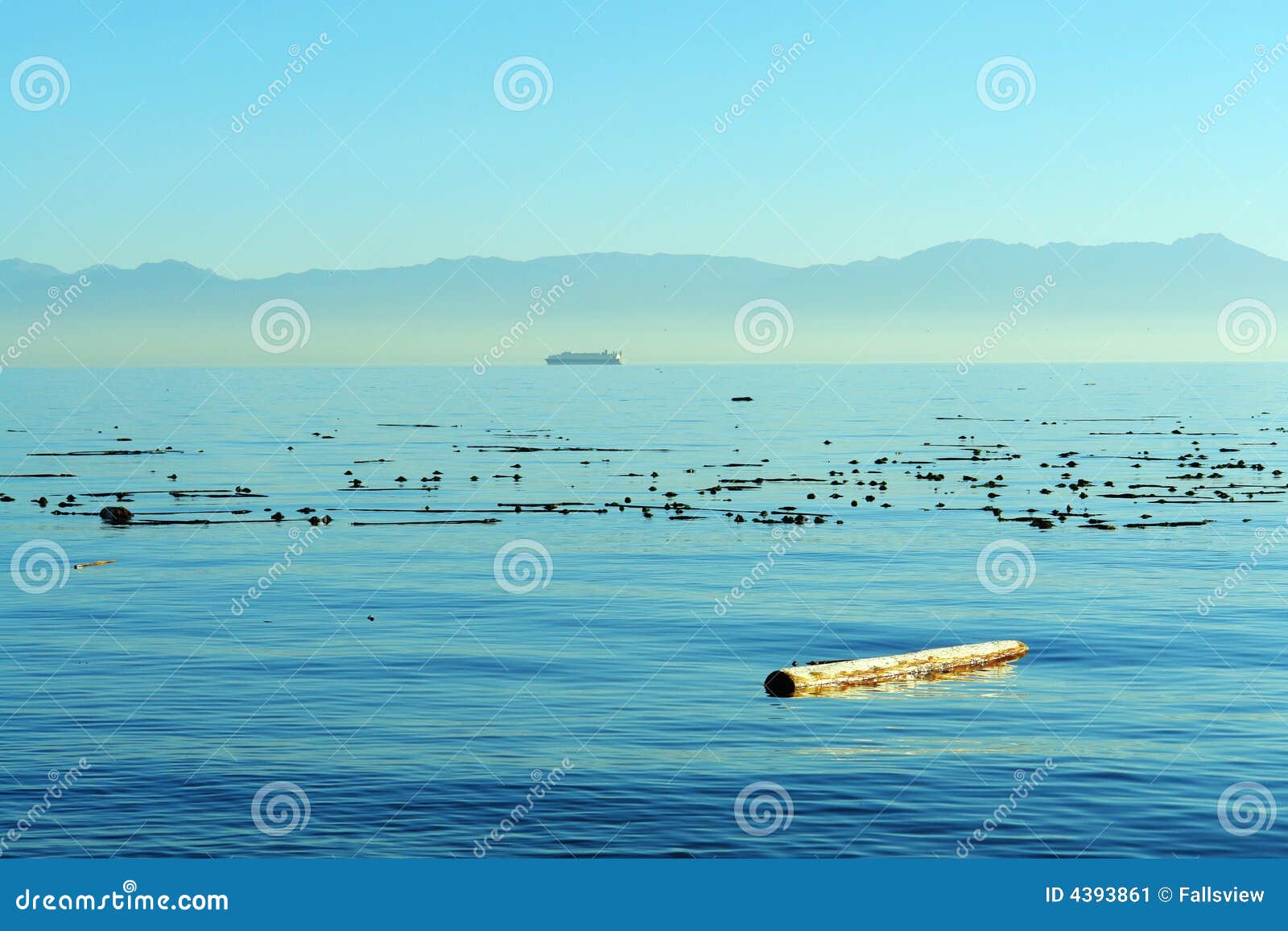 Strait view stock image. Image of ocean, floating, canada - 4393861