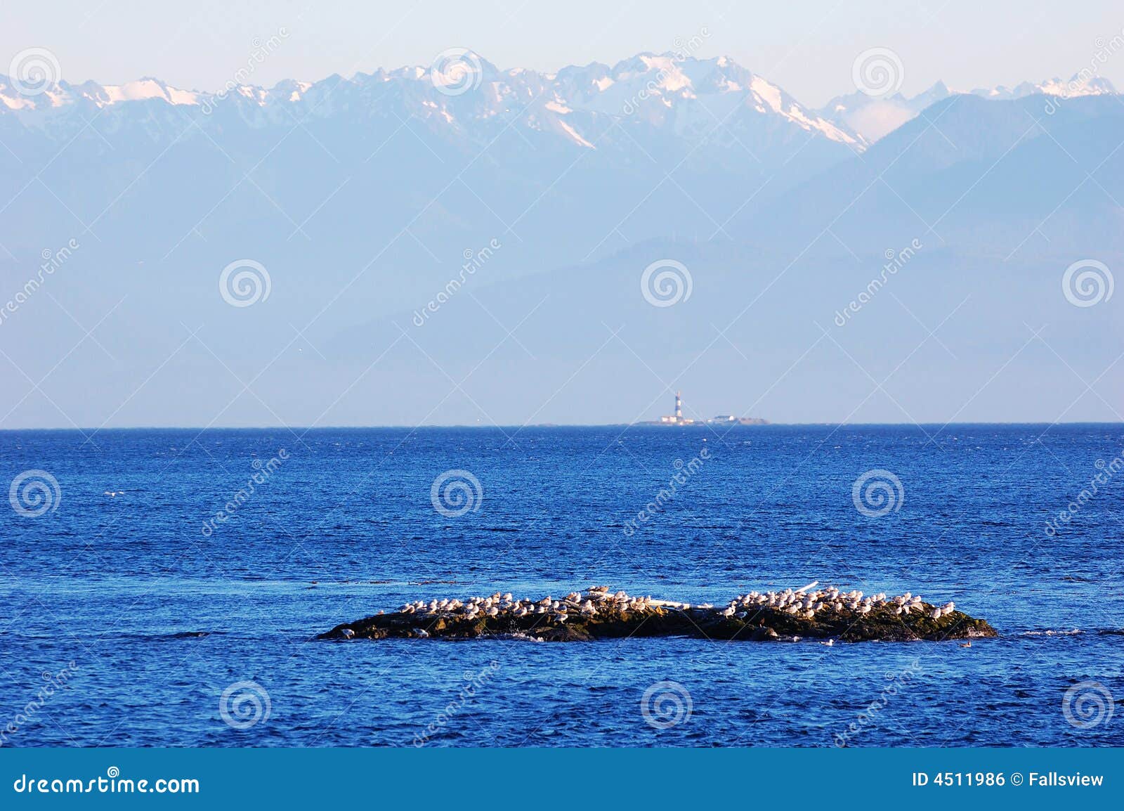 Strait view stock photo. Image of sunset, island, canada - 4511986