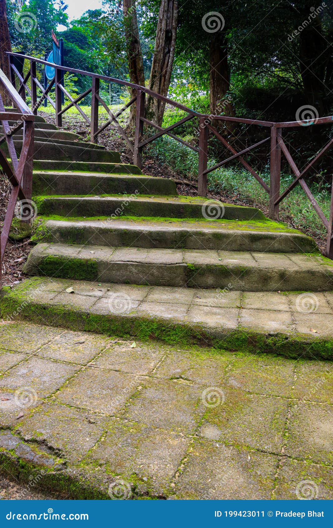 Straiway Stock Photos - Free & Royalty-Free Stock Photos from Dreamstime