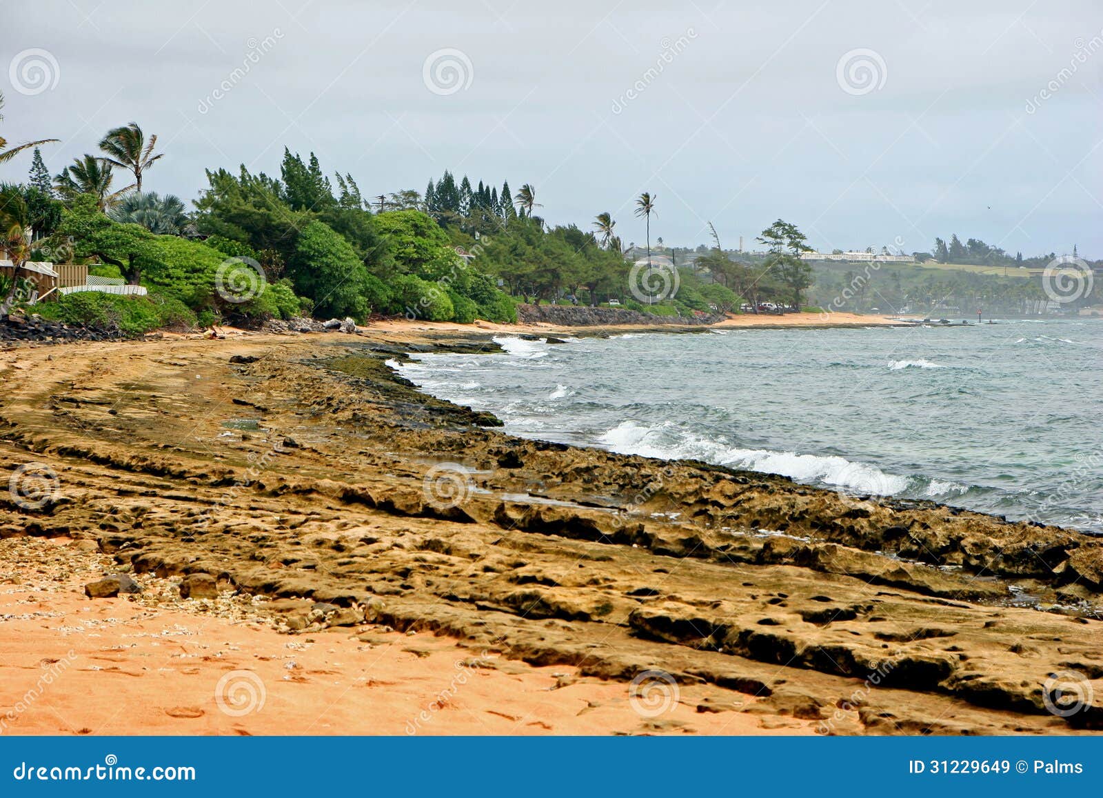 Strand auf Kauai-Insel stockbild. Bild von küsten, hawaii - 31229649