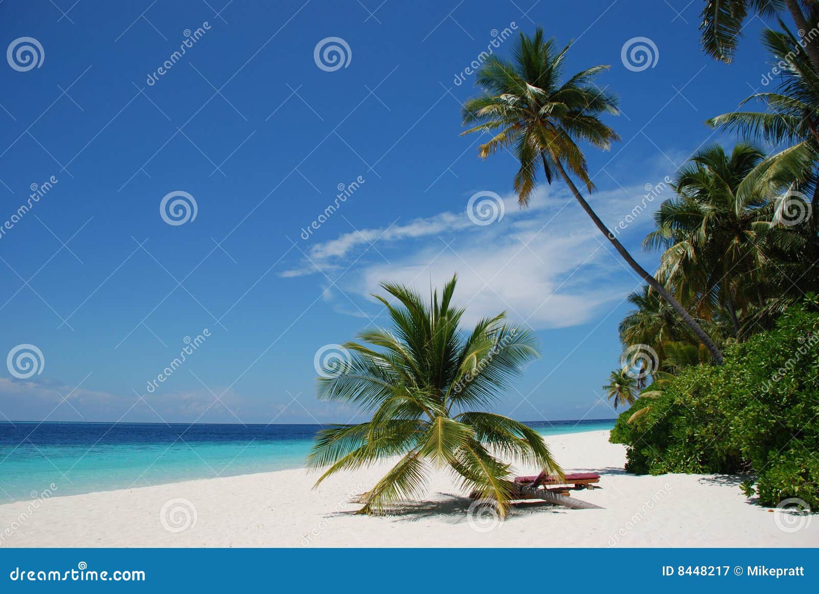 Strand in den Maldives stockbild. Bild von blau, luxus - 8448217