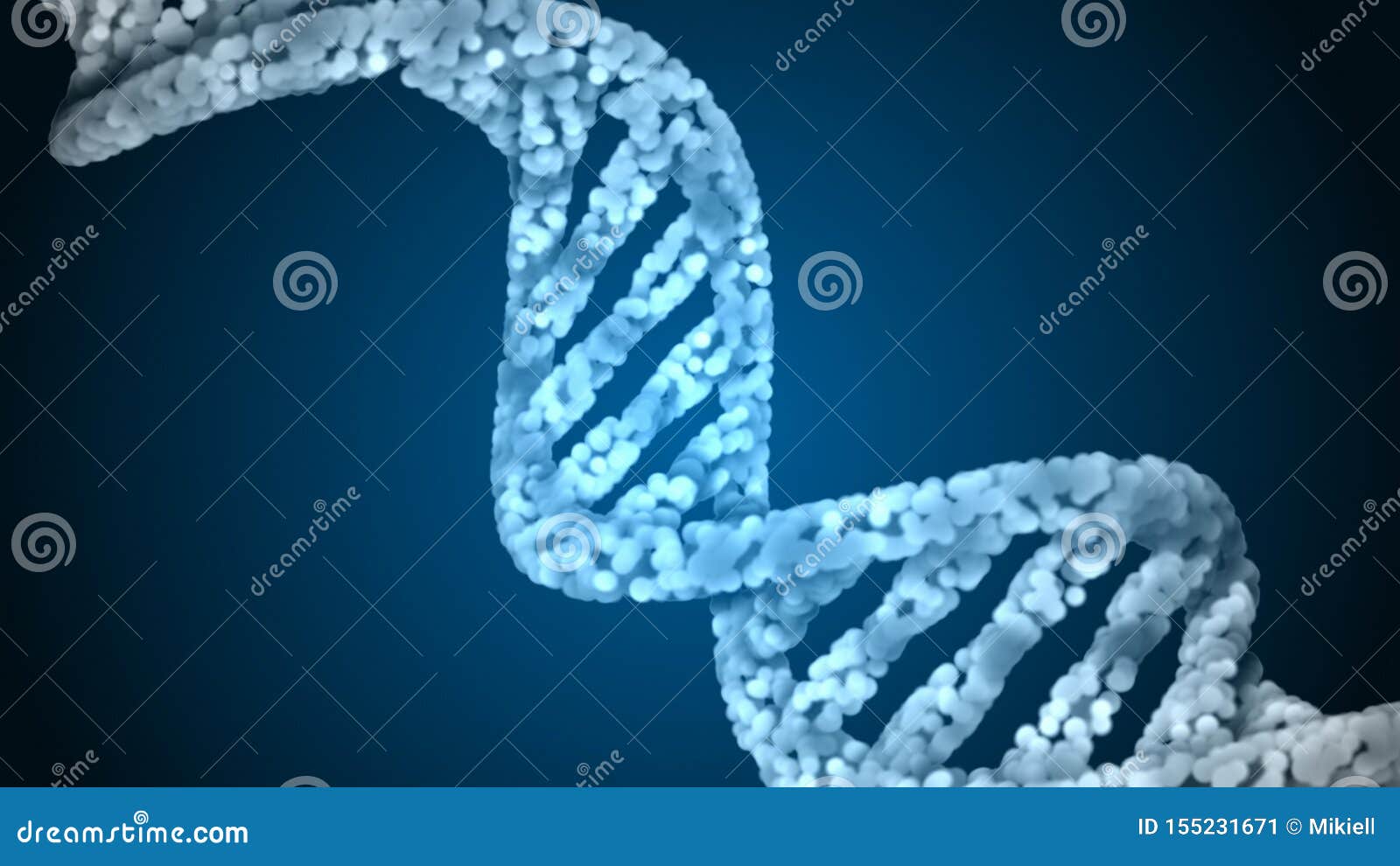 Pair Of Chromosomal Crossover And Replication Process Royalty-Free ...