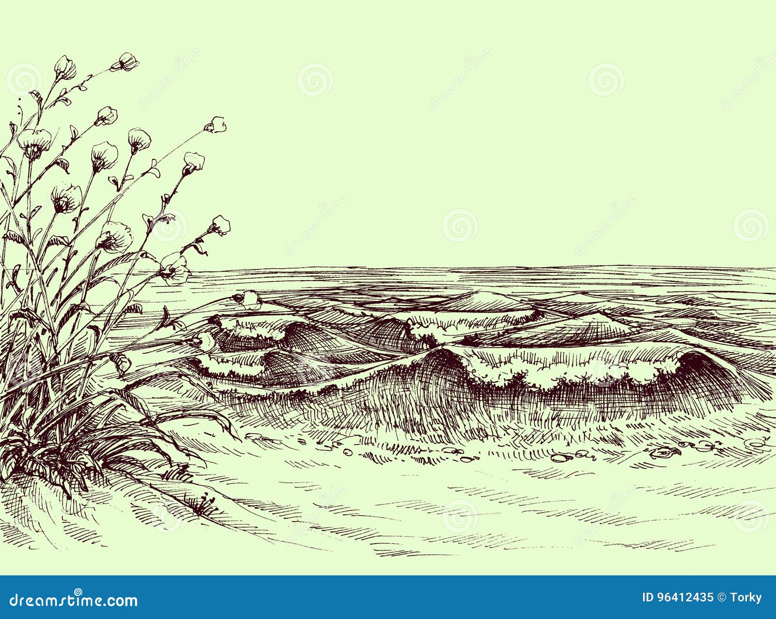 Strand En Overzeese Tekening Vector Illustratie - Illustration of ...