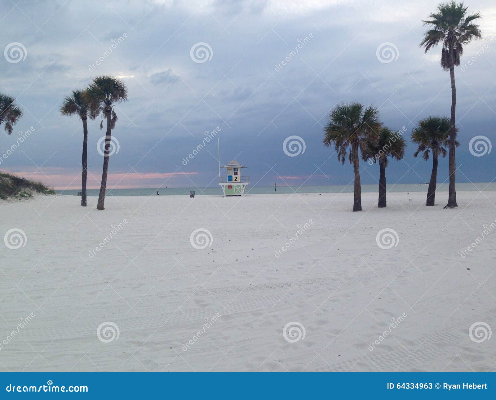 Strand Florida-Clearwater stockbild. Bild von palme, paradies - 64334963