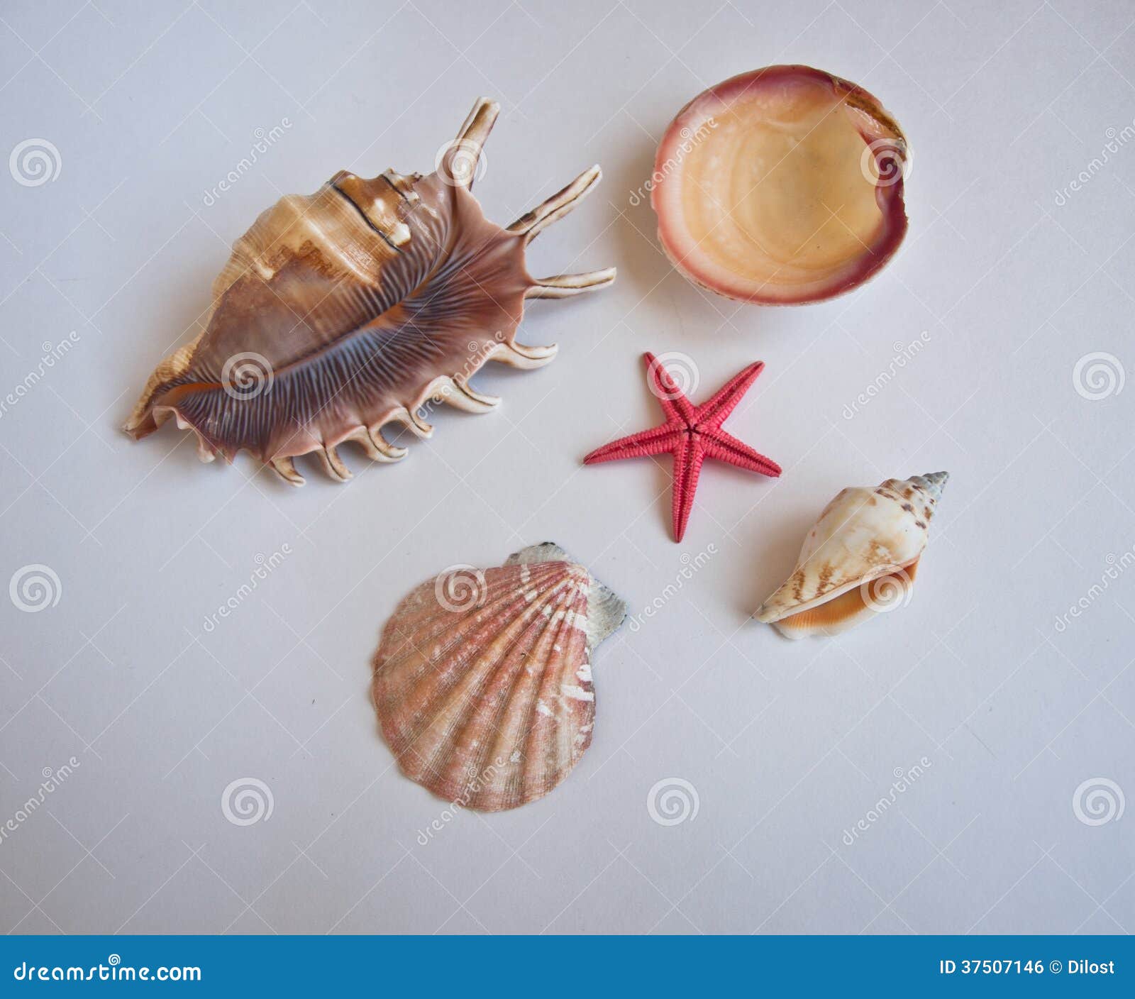 Strand-Gegenstände. stockfoto. Bild von klima, strand - 37507146