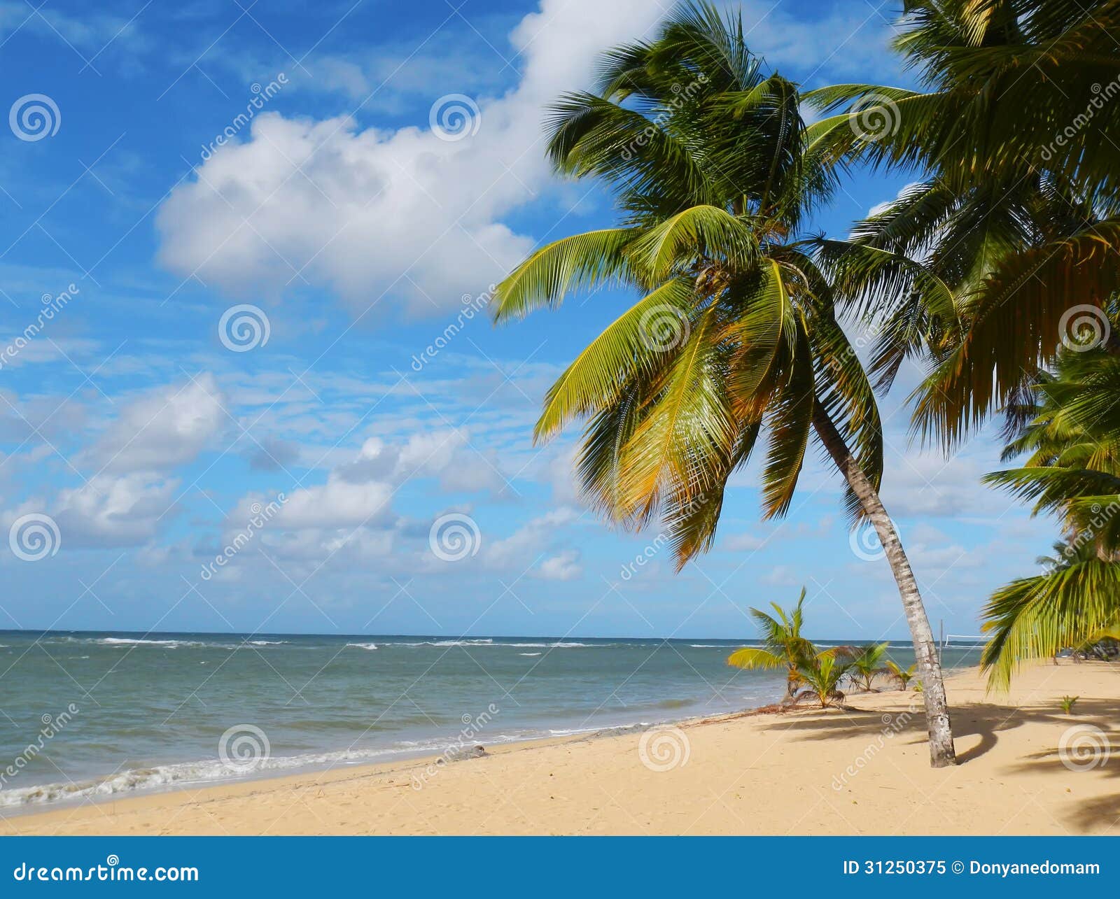 Strand Las Terrenas, Samana-Halbinsel Stockbild - Bild von schön, sand ...