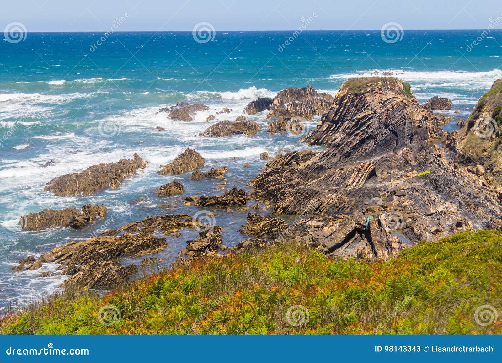 Strand Med Klippor Och Vegetation I Almograve Fotografering för ...