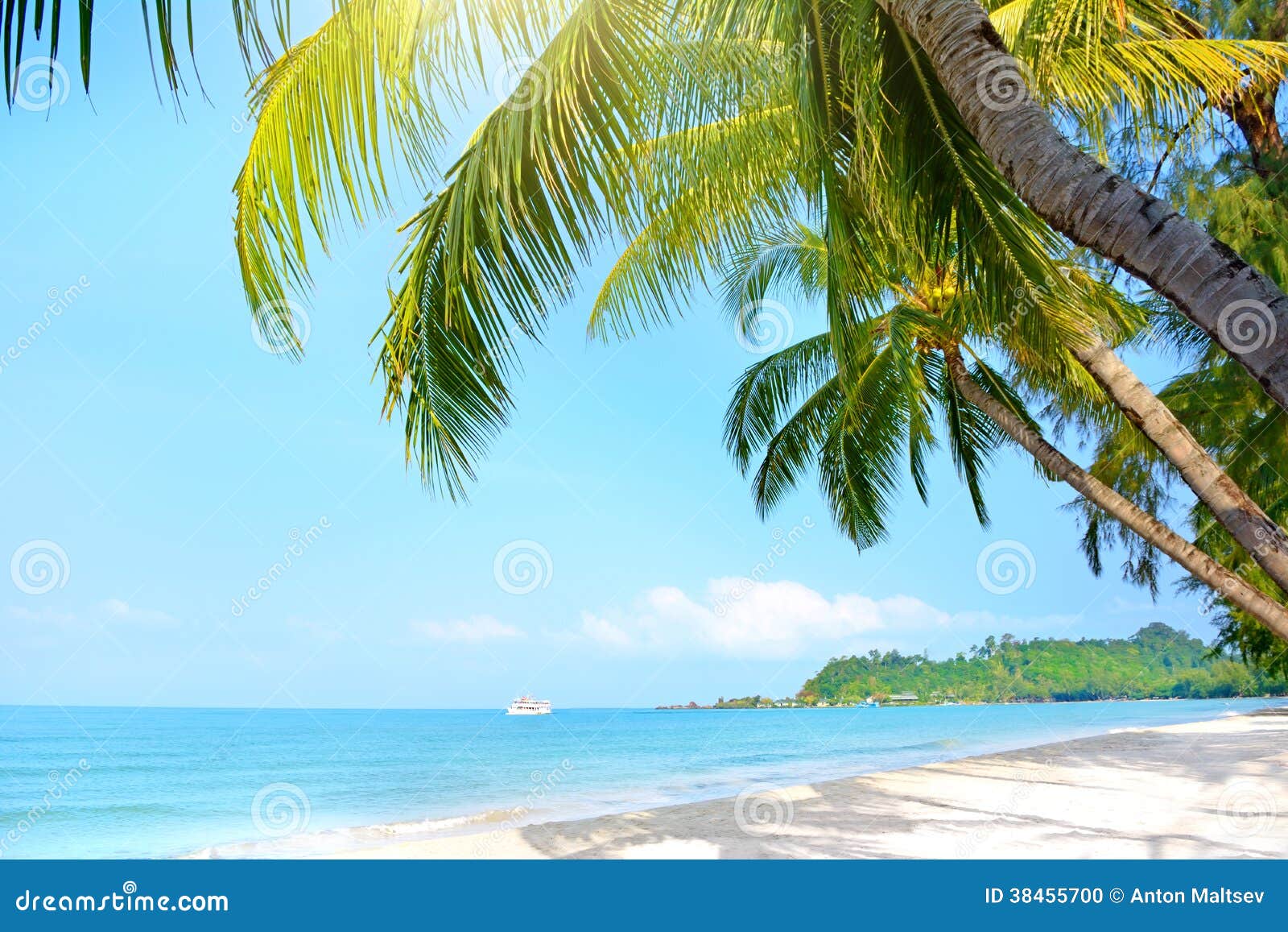 Strand Mit Palmen. Strand Klong Prao Stockfoto - Bild von sommer, insel ...