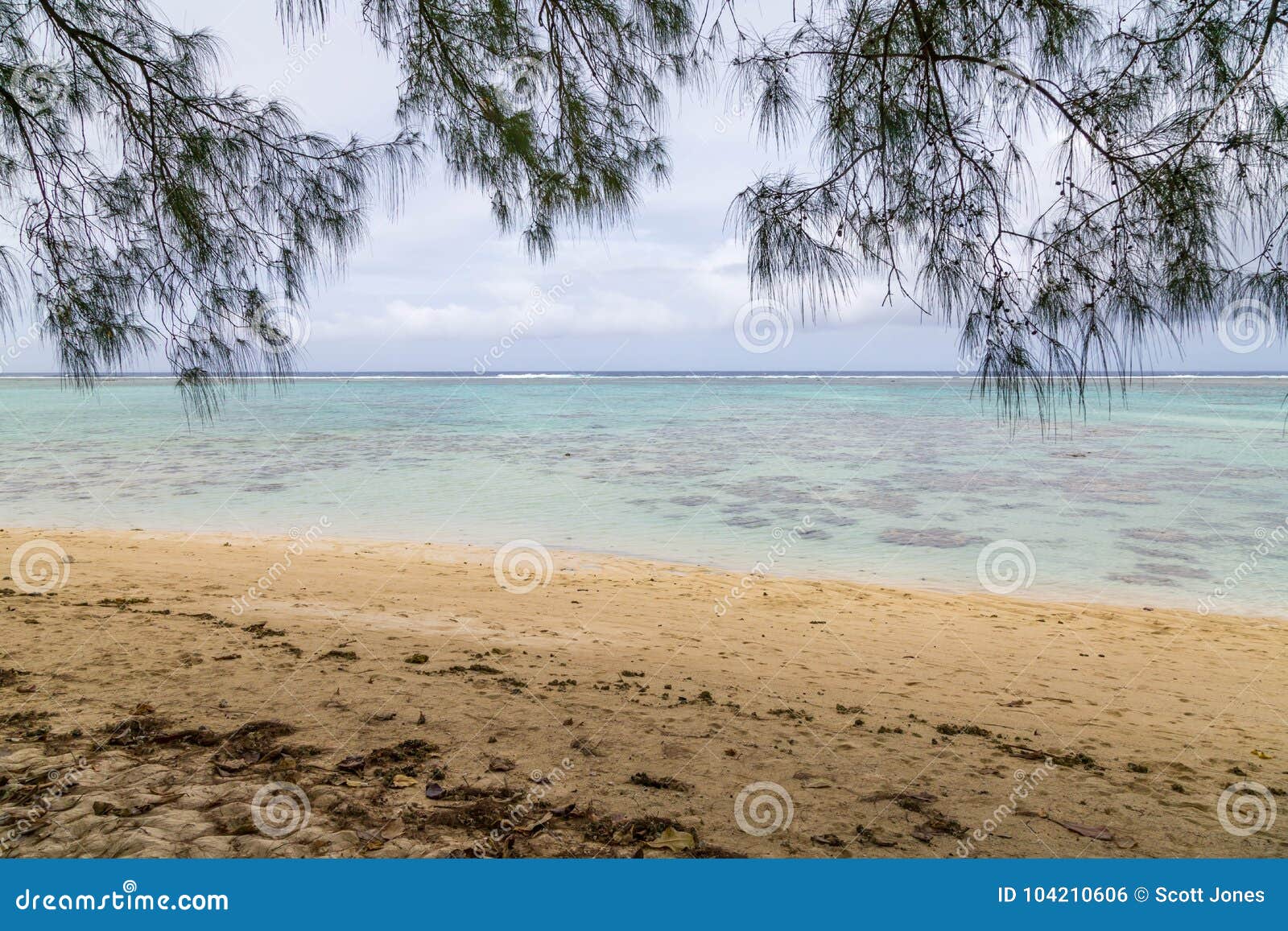 Strand in paradijs stock foto. Image of strand, boom - 104210606