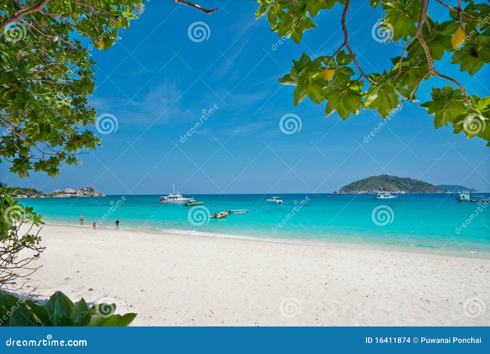 Strand, Similan Eilanden, Zuiden Van Thailand Stock Foto - Image of ...