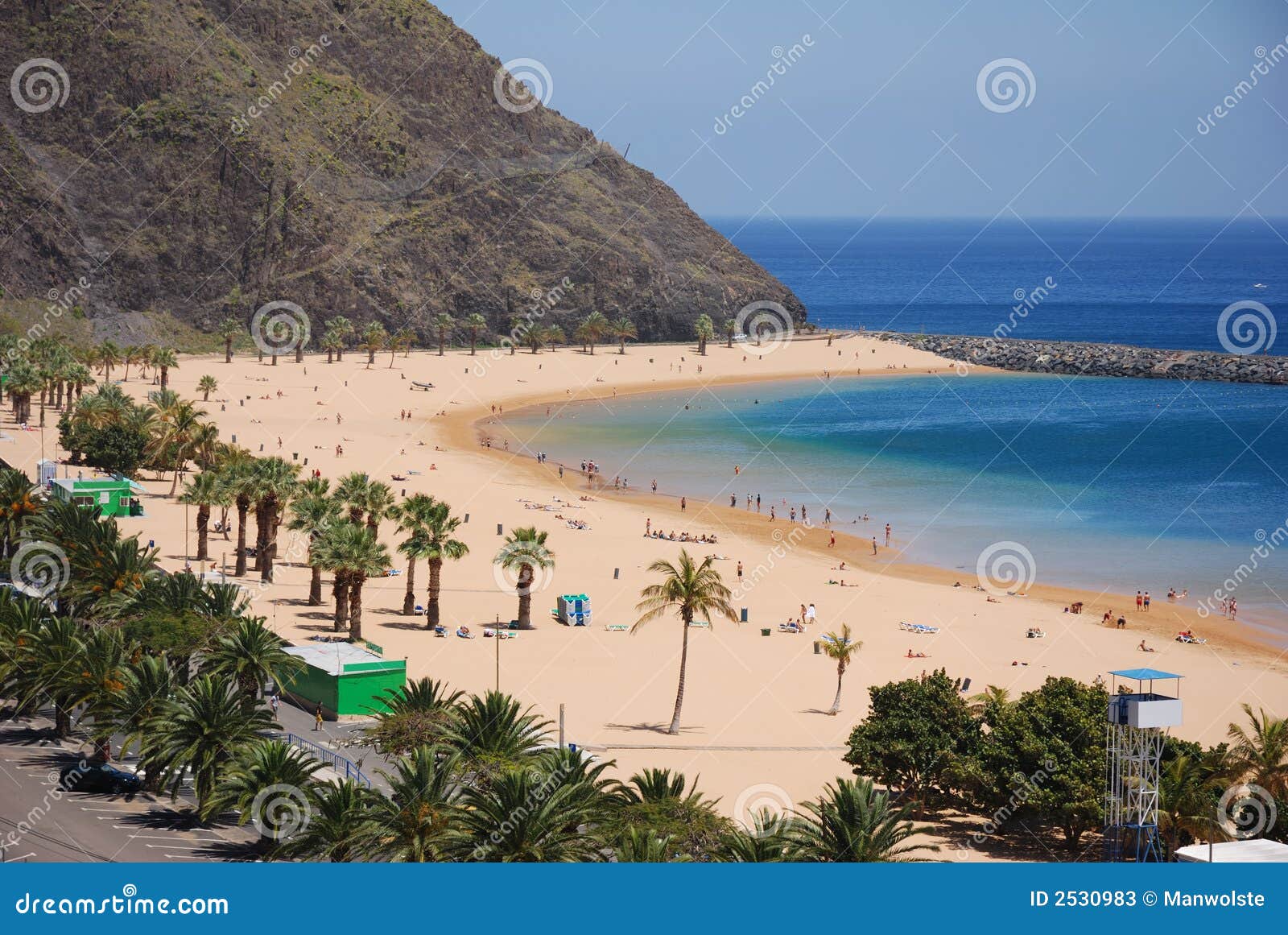 Strand in Tenerife stock afbeelding. Image of boom, strand - 2530983