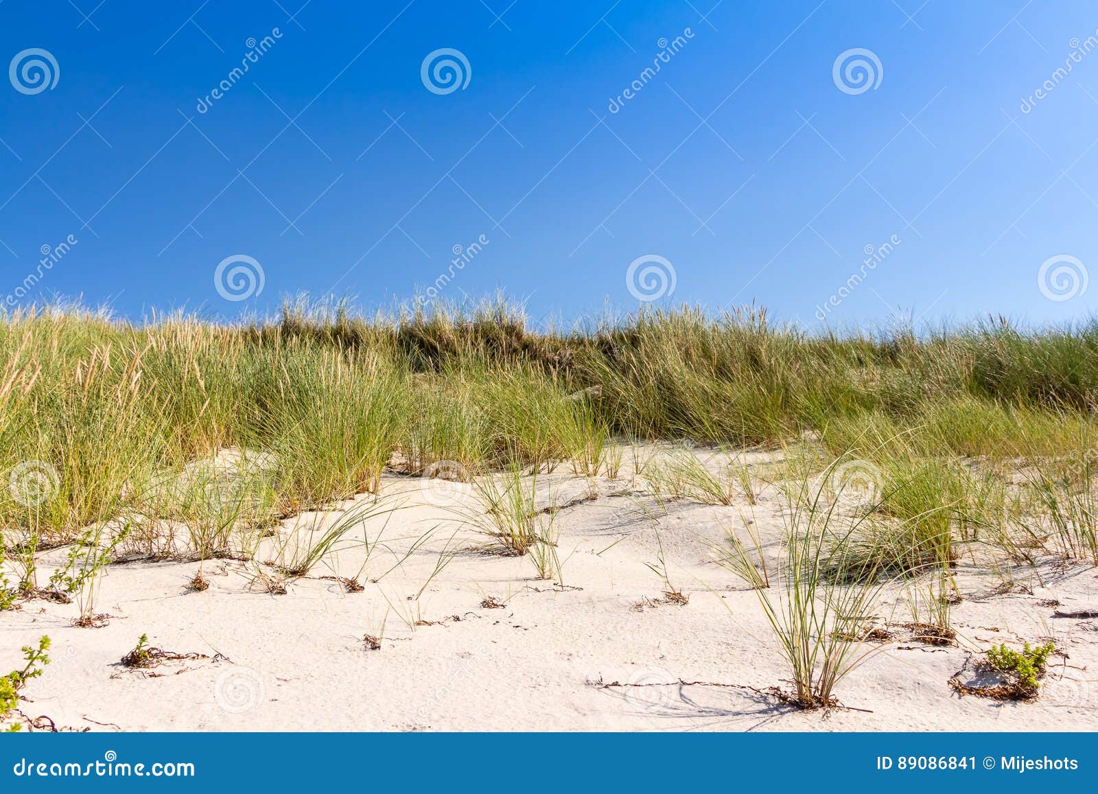 Strand Und Dünen Mit Strandhafer Stockbild - Bild von ozean, himmel ...