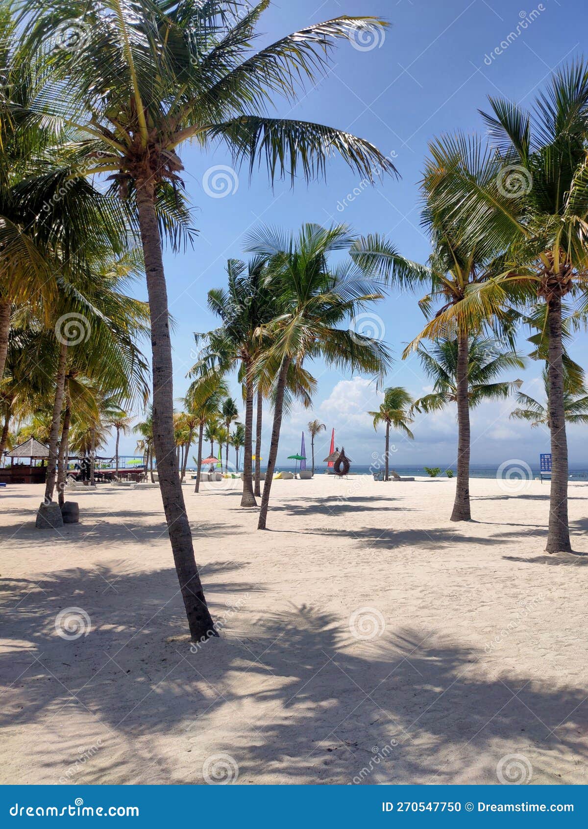 Strand und Kokospalmen stockfoto. Bild von ozean, betrieb - 270547750