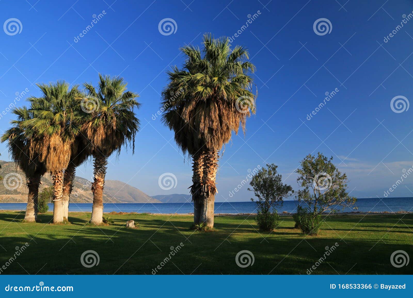 Strand von Itea stockfoto. Bild von leer, wasser, sonnig - 168533366