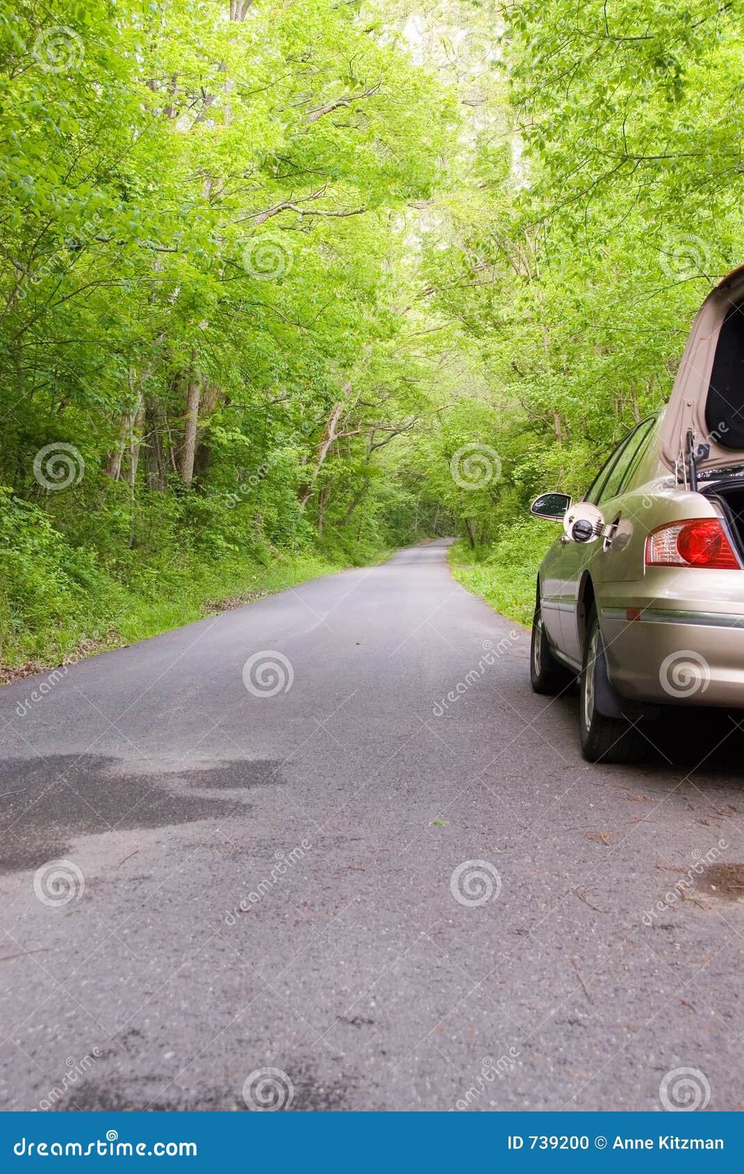 Stranded Car stock photo. Image of country, transportation - 739200