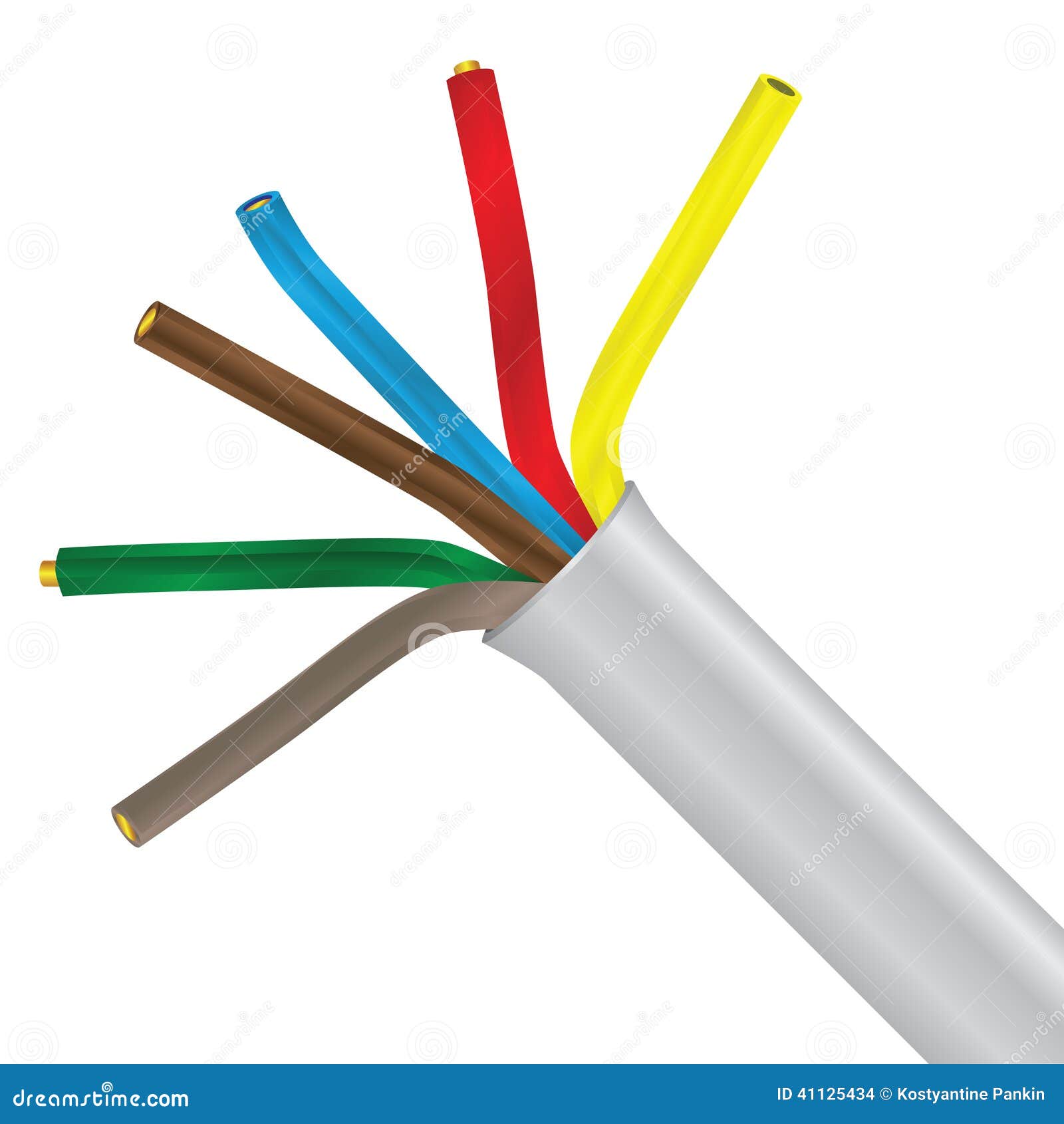 Stranded electrical cable stock vector. Illustration of connect - 41125434