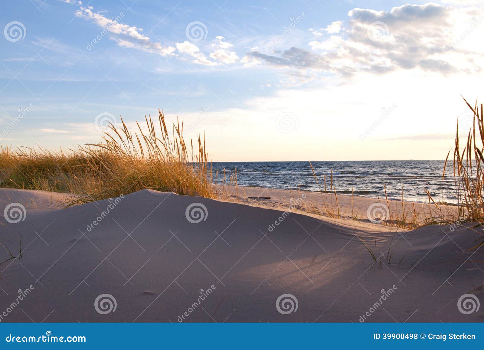 Strandhafer auf Lakeshore stockfoto. Bild von gräser - 39900498