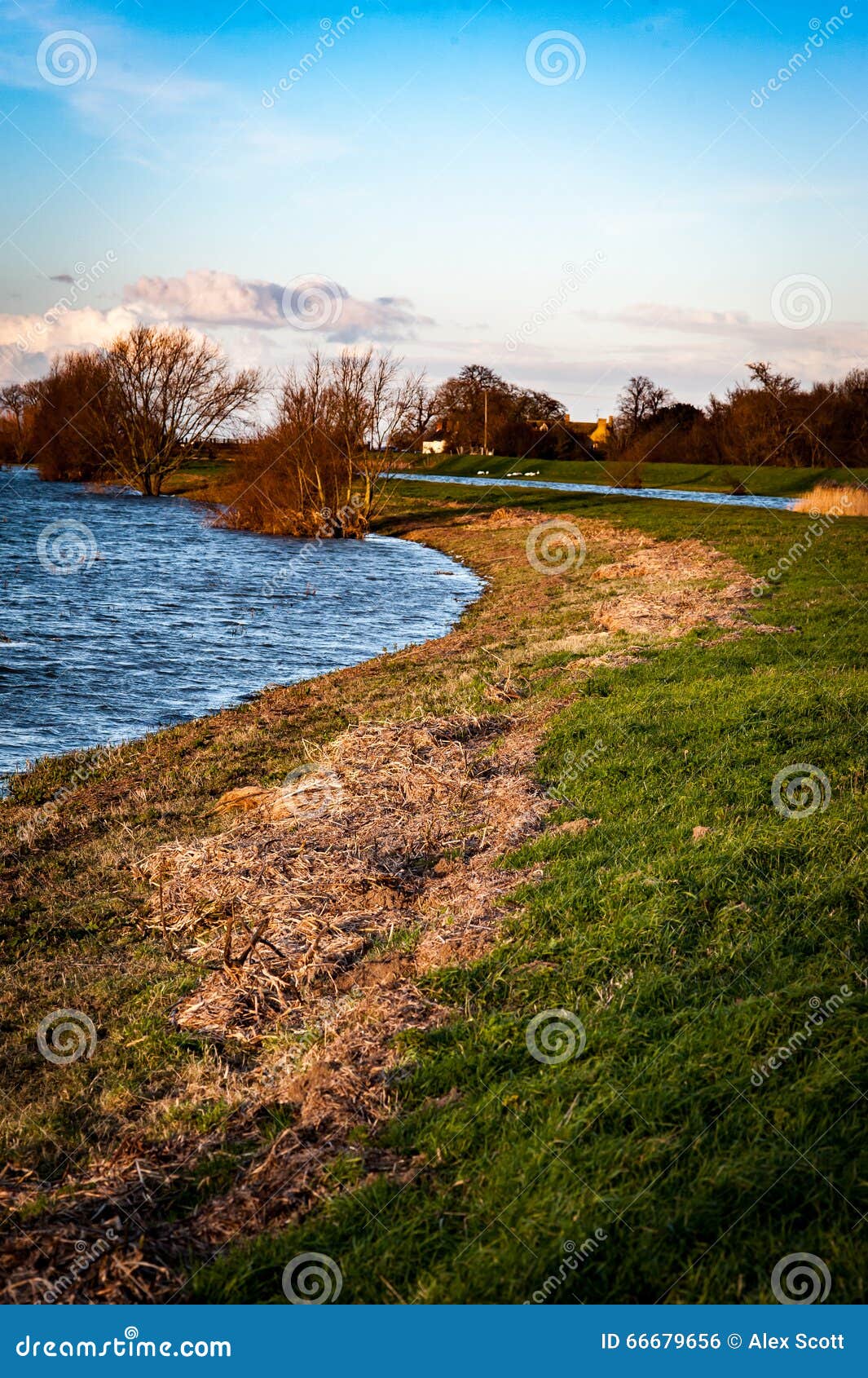 Strandline Left from Flooding Stock Photo - Image of extensive, ecology ...