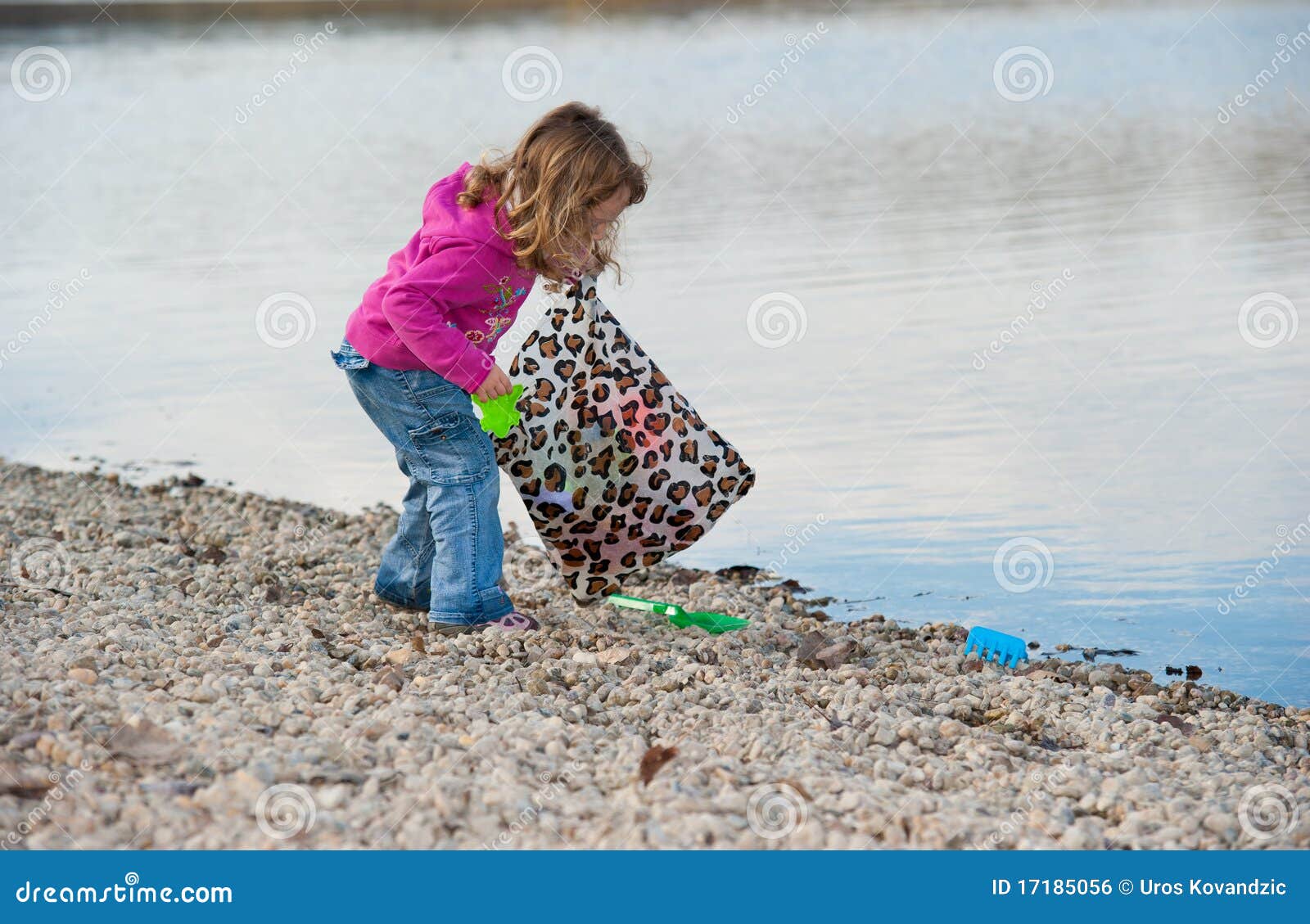 Strandreinigung stockfoto. Bild von plastik, sauber, hygiene - 17185056