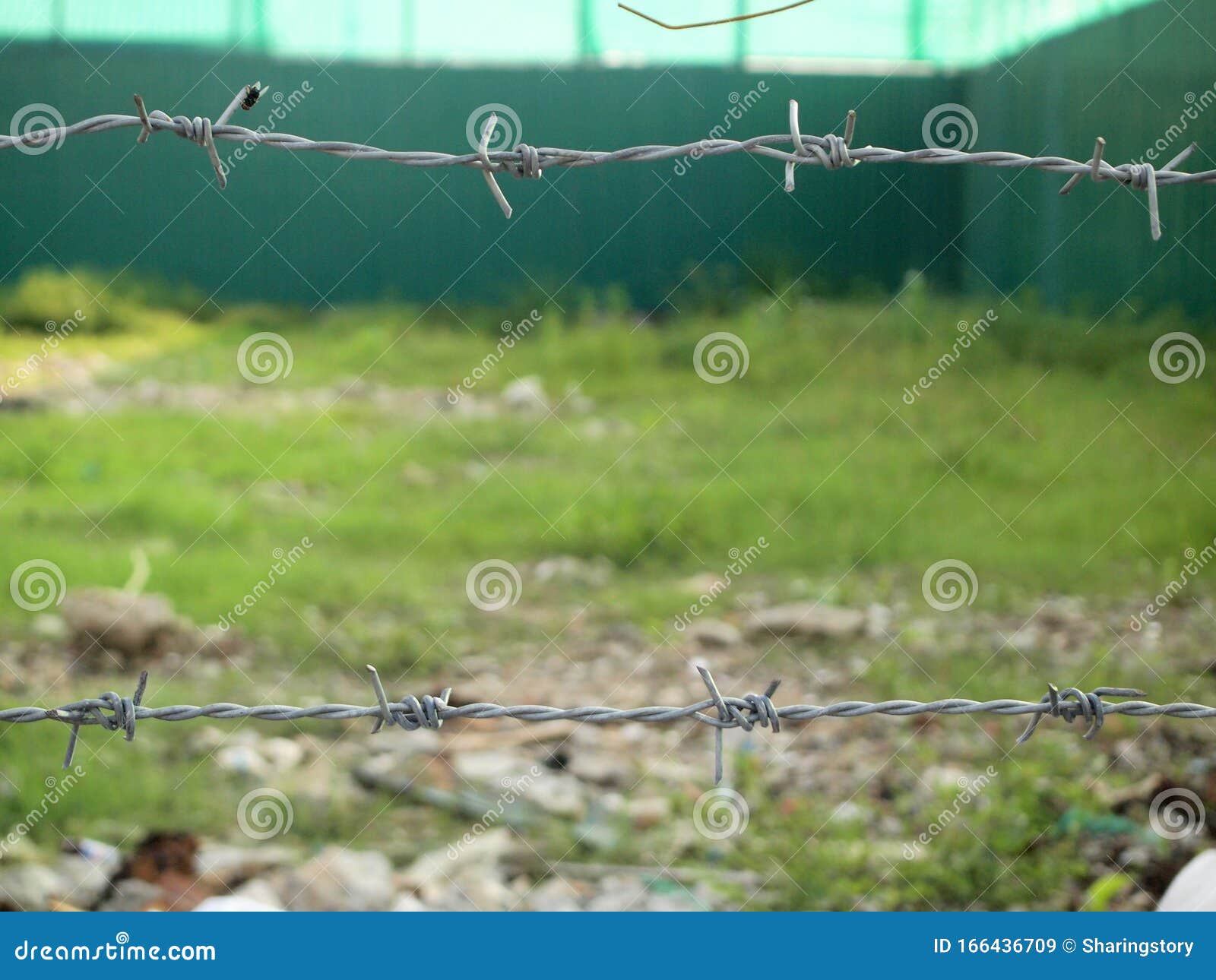 Strands of barb wire stock image. Image of chain, divide - 166436709