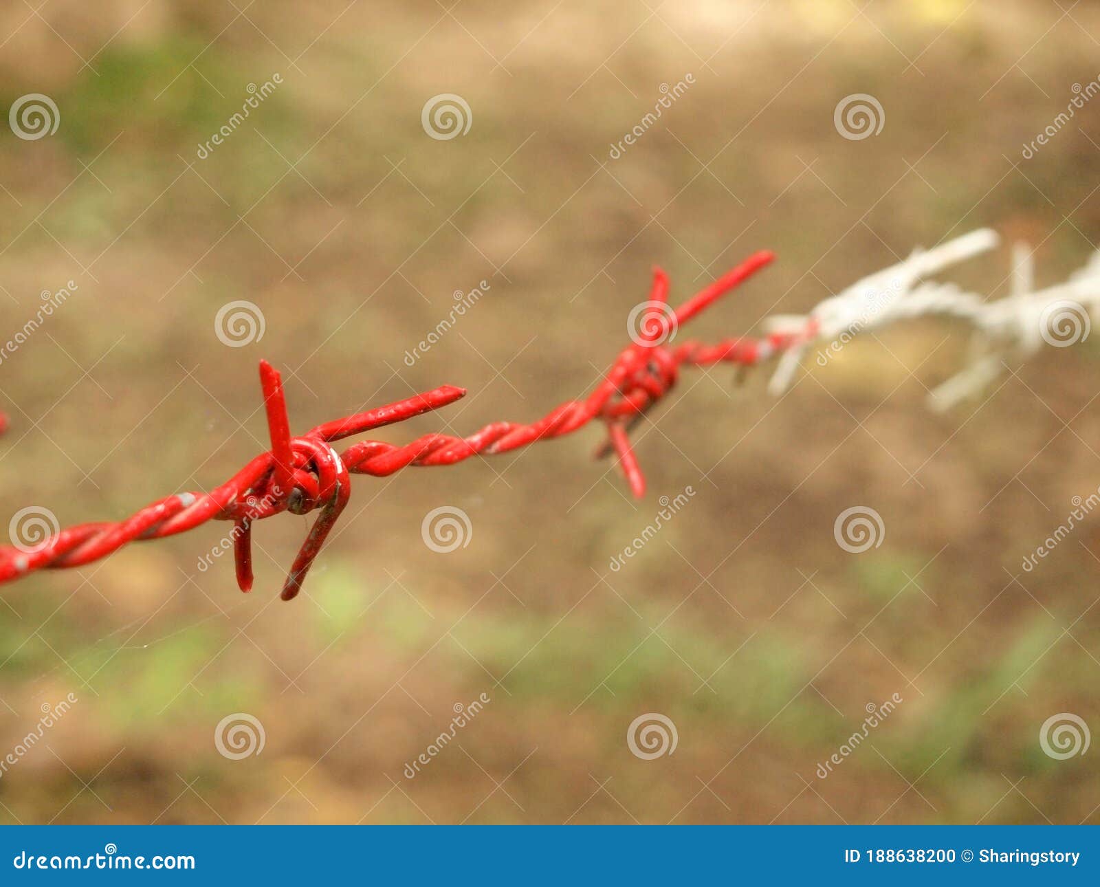 Strands of barb wire stock photo. Image of barbed, forbid - 188638200