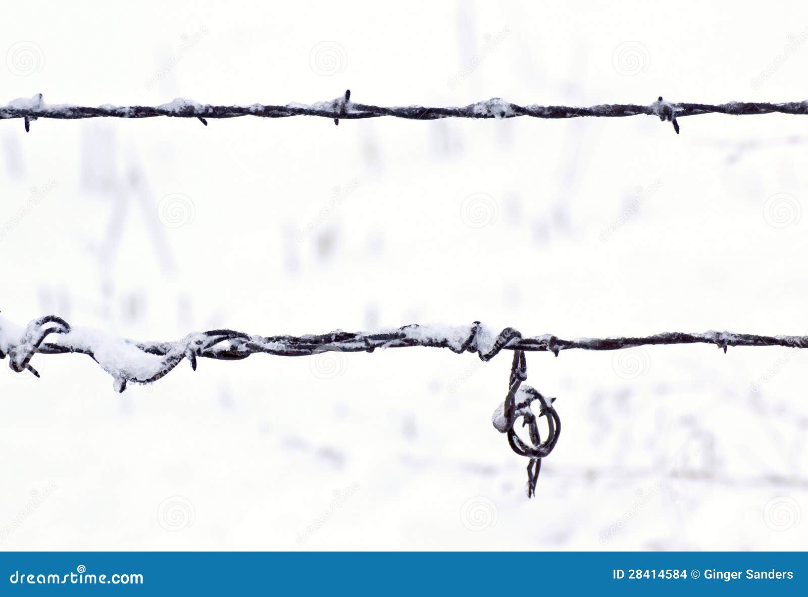 Strands of Barbed Wire Fence in Snow Stock Photo - Image of ranch ...