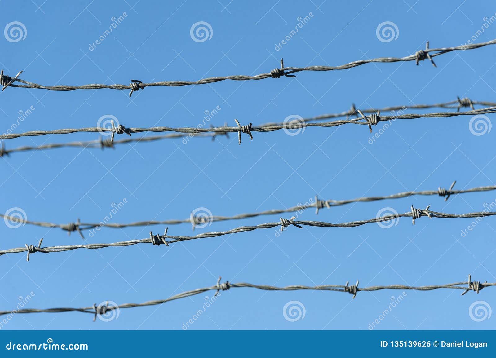 Parallel Strands of Barbed Wire Stock Photo - Image of county, metal ...