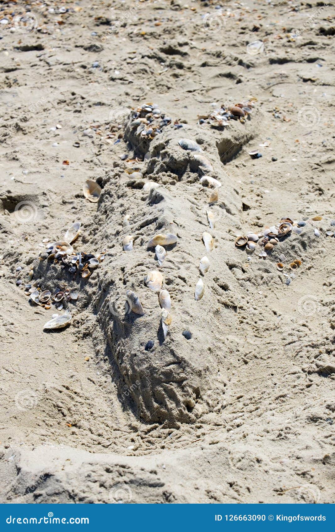 Strange Creature with a Fishtail of Sand on a Sea Beach Stock Photo ...