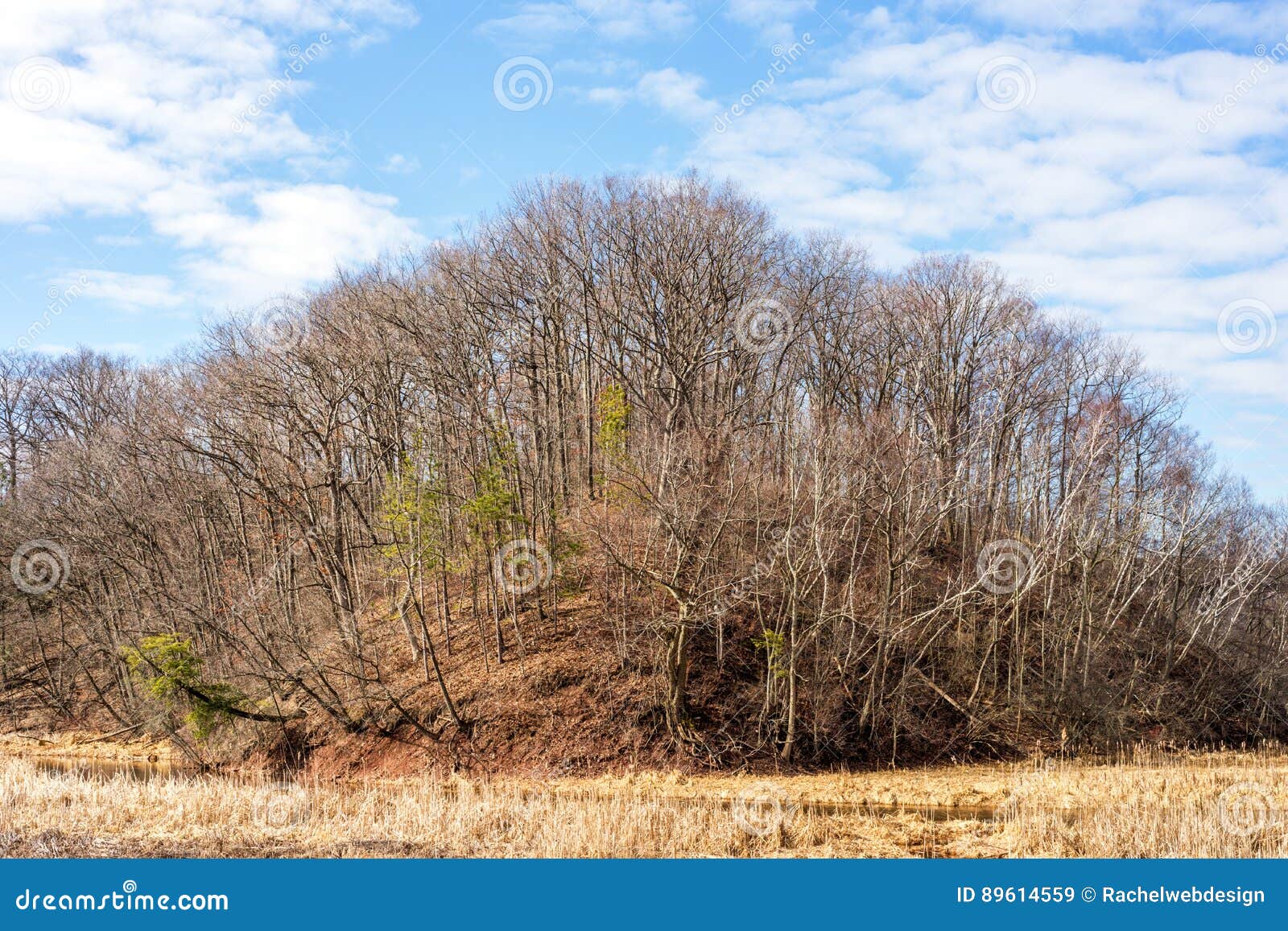 Strange Dome Shaped Ground Formation with Trees Growing Out of I Stock ...