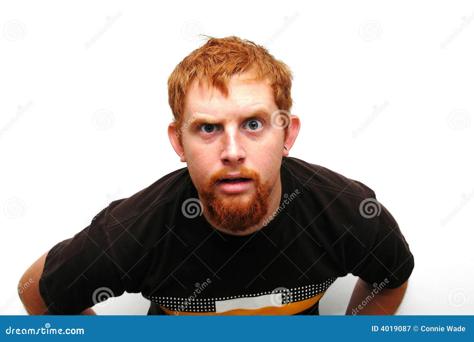 Strange Expression stock image. Image of wound, ears, isolated - 4019087