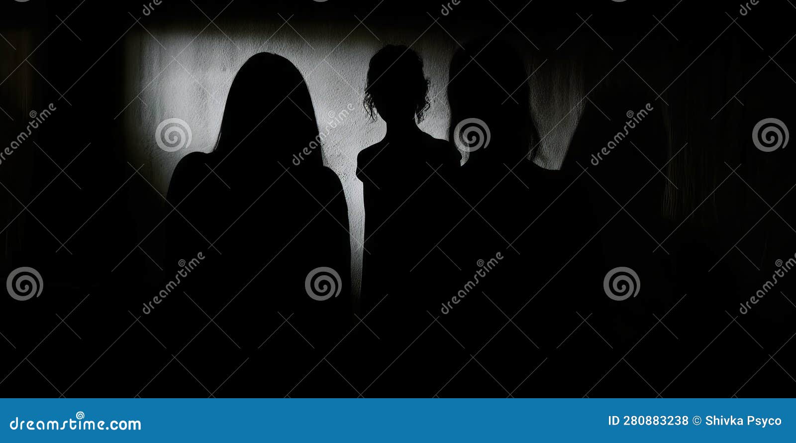 Obscured In Shadow, A Military Officers Silhouette Portrays Steadfast ...