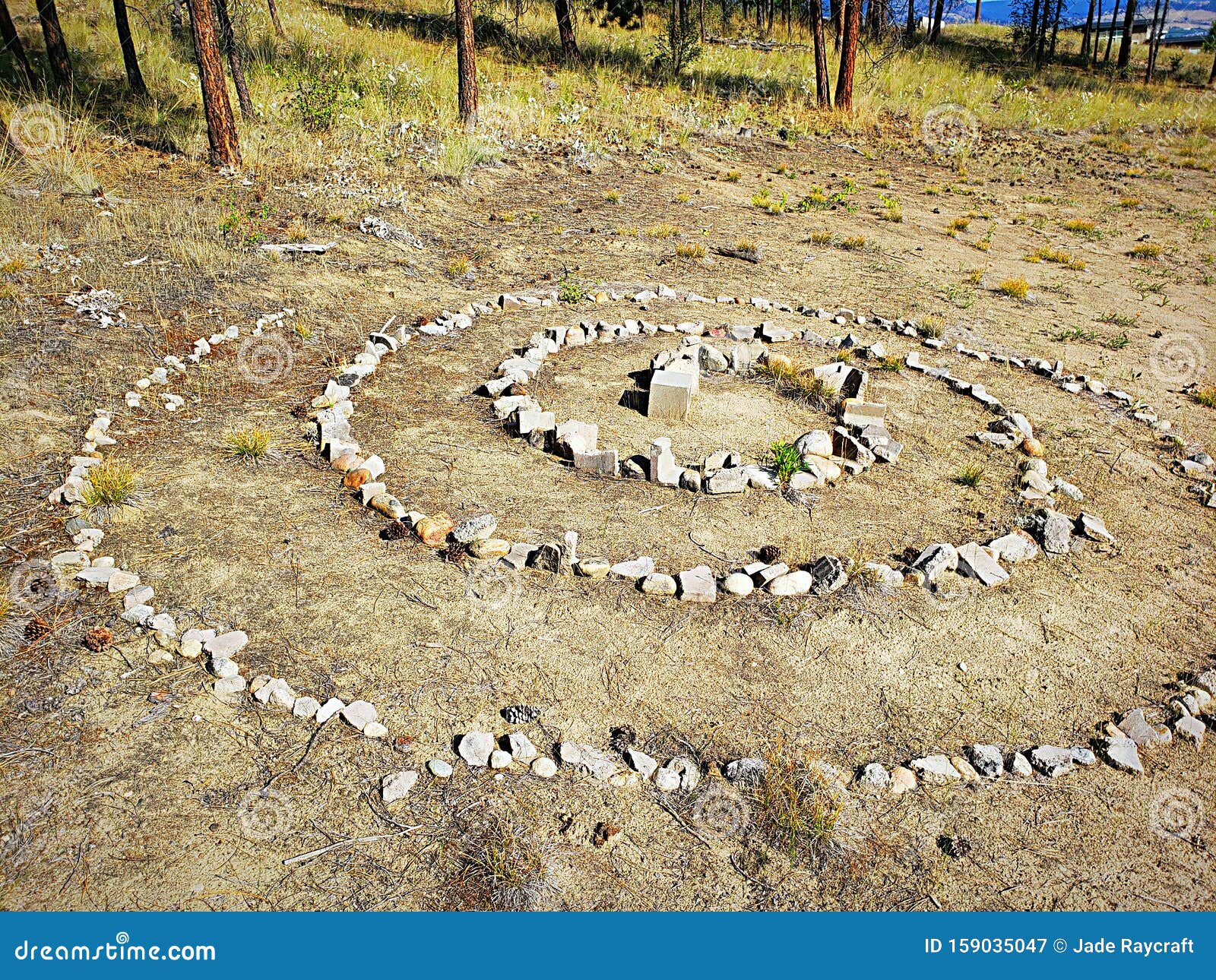 Strange find stock image. Image of strange, hiking, nature - 159035047