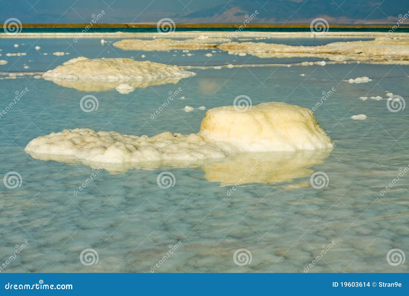 Strange Forms And Colors Of Salt, Dead Sea, Israel Picture. Image: 19603614