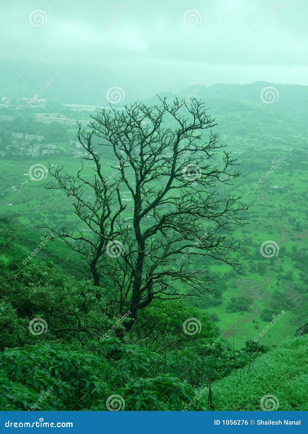 Strange Pictures Of Nature